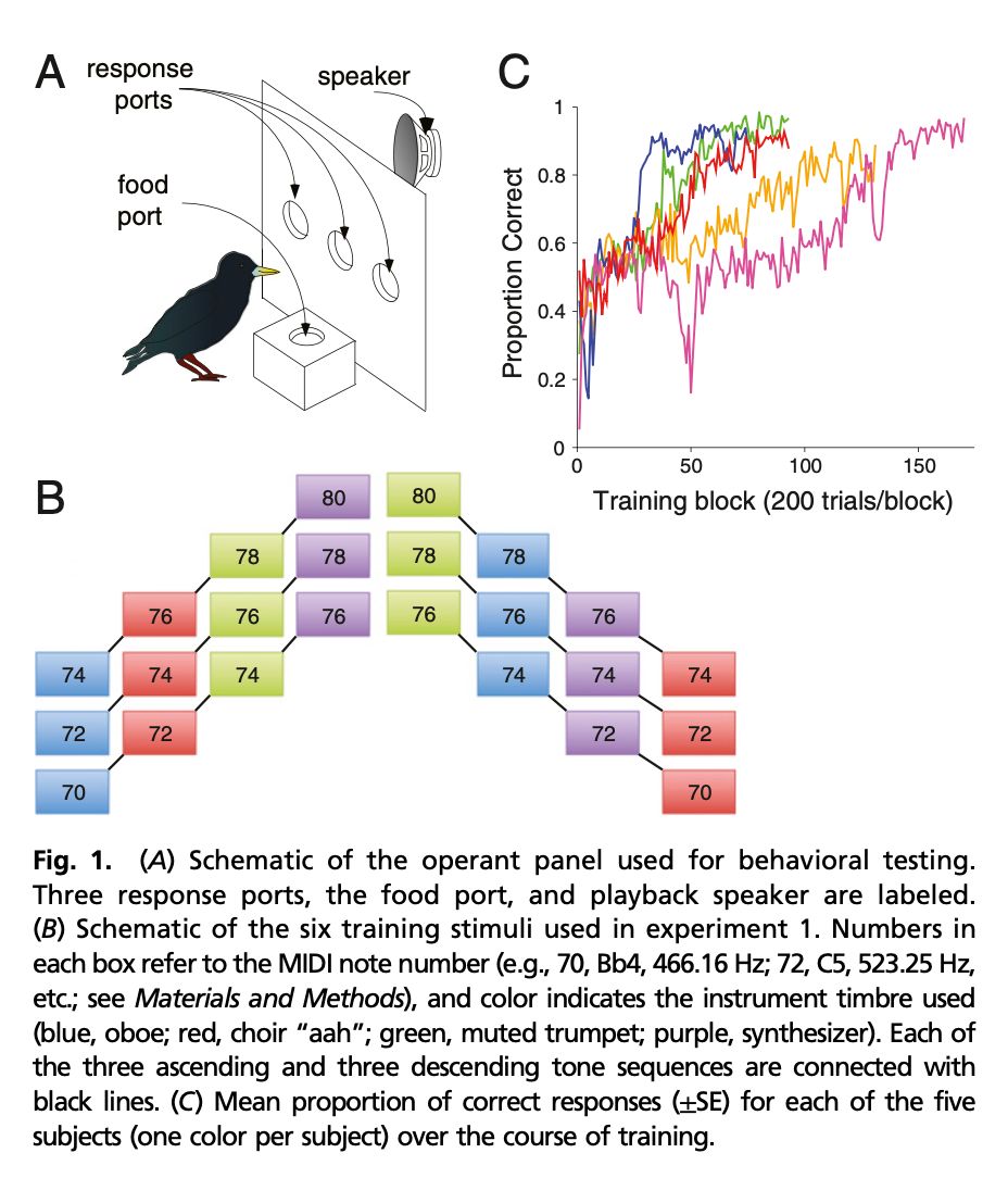 Birds, Music, Cognition · Birds Make Sound