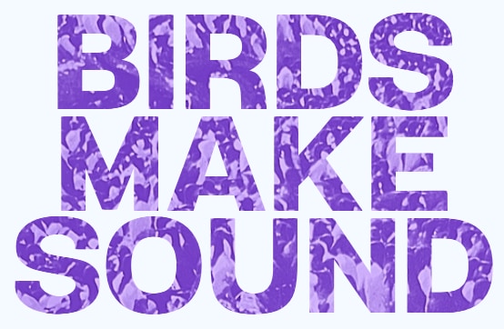 How to use Anki to learn bird sounds · Birds Make Sound